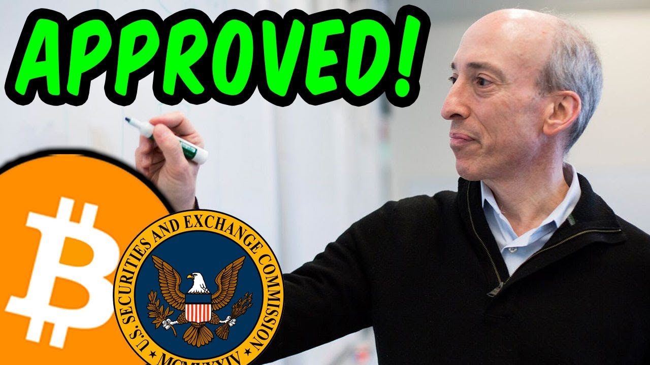 ETF approved & Bitcoin hits $49,000... what comes next? - YouTube