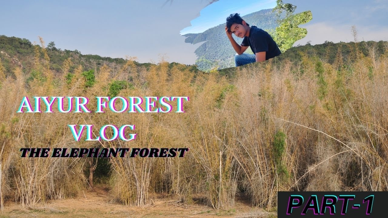 Aiyur Forest Vlog near Hosur, Krishnagiri &BLR | Forest Ride | # ...