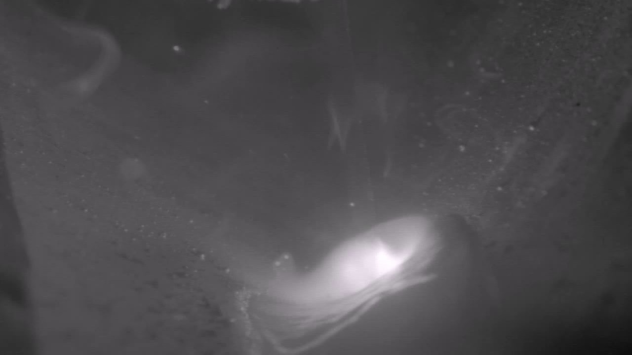 MIG Welding (GMAW) - Tee Joint, Root and Second Pass - YouTube