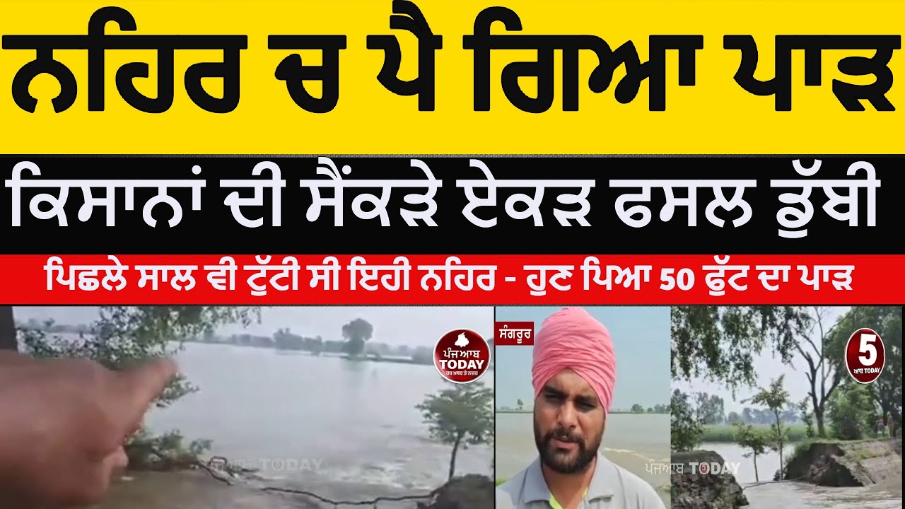 Canal breach in sunam | sangrur canal breach farmers crops destroy ...