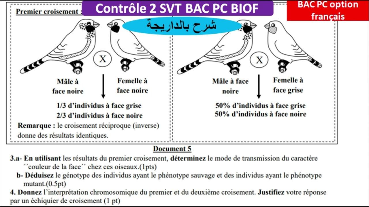 Contrôle 2 Svt Bac Pc Option Français تصحيح الفرض Youtube