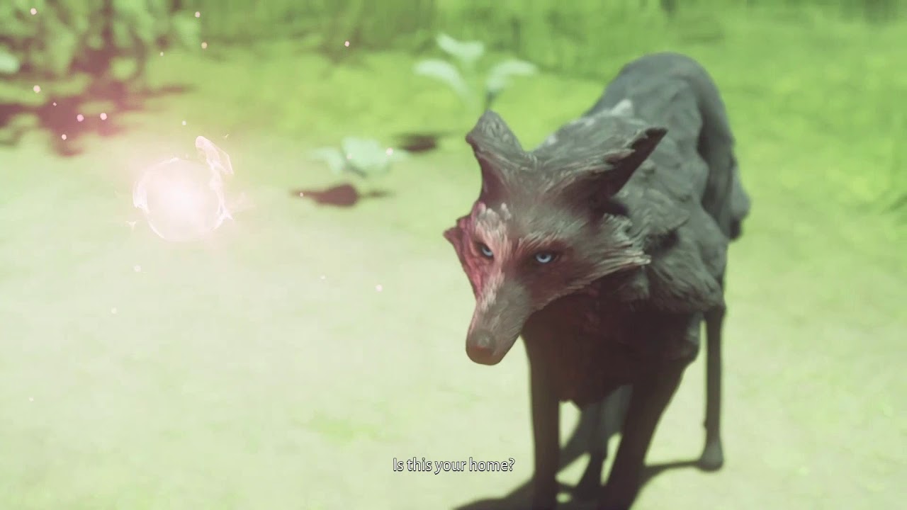 [Part 2] Journey of Wolf and Lightball - Lost Ember Gameplay - YouTube