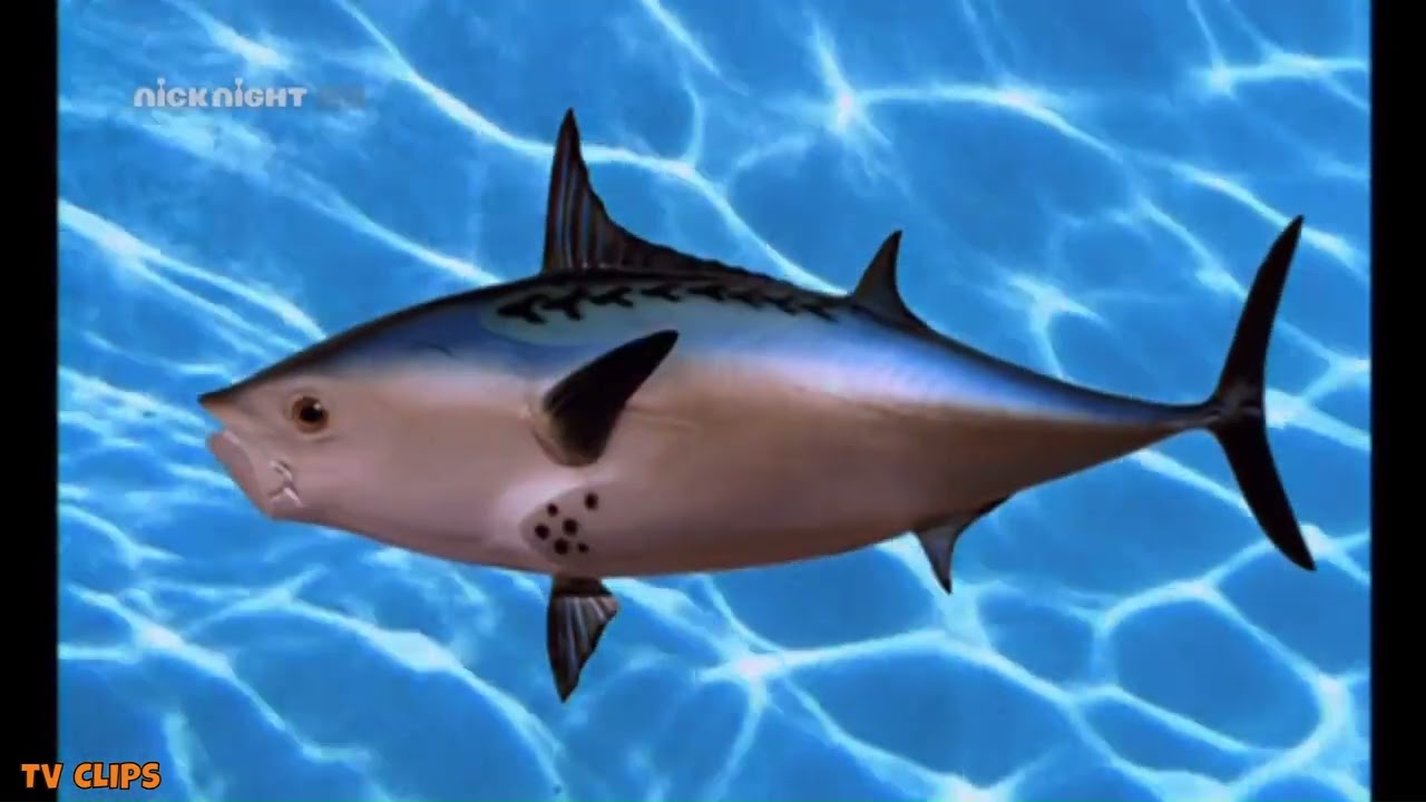 Spongebob Fish Intro