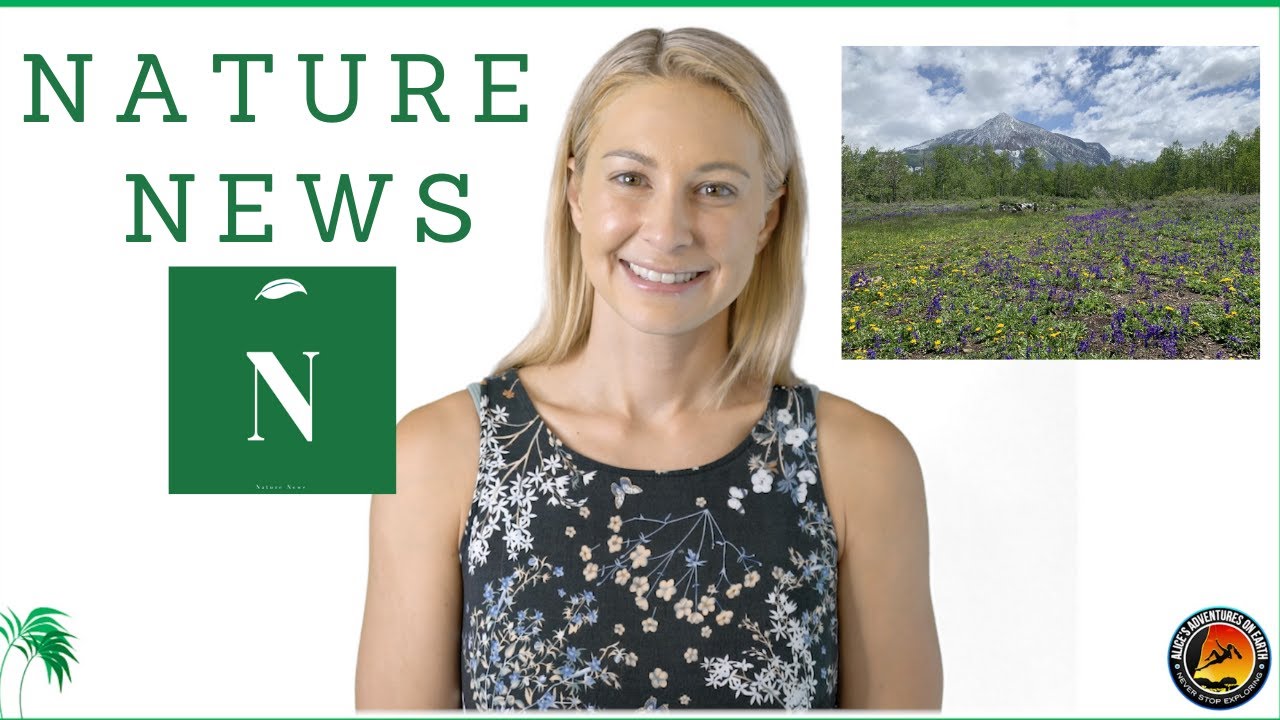 Nature News: Science, Climate & The Environment - August 7 2020 - YouTube