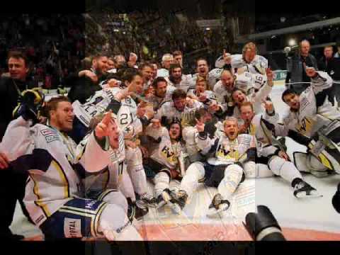 hv71 sm-guld 2010 !! - YouTube
