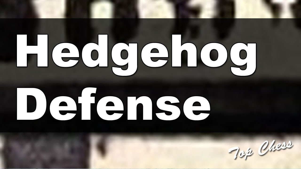 Chess Games - English Opening: Symmetrical Variation. Hedgehog Defense ...