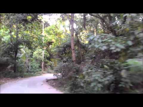 Lanipao Rainforest, Cebu - YouTube