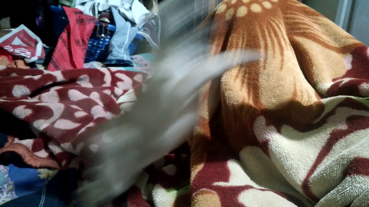 Rub Youtube