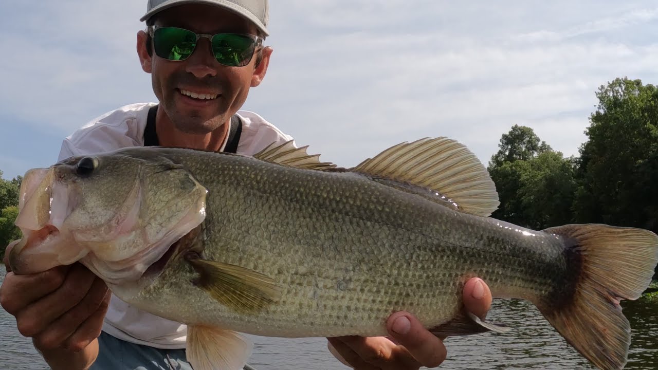 Bass Fishing a Private Lake in Southern Illinois! - YouTube