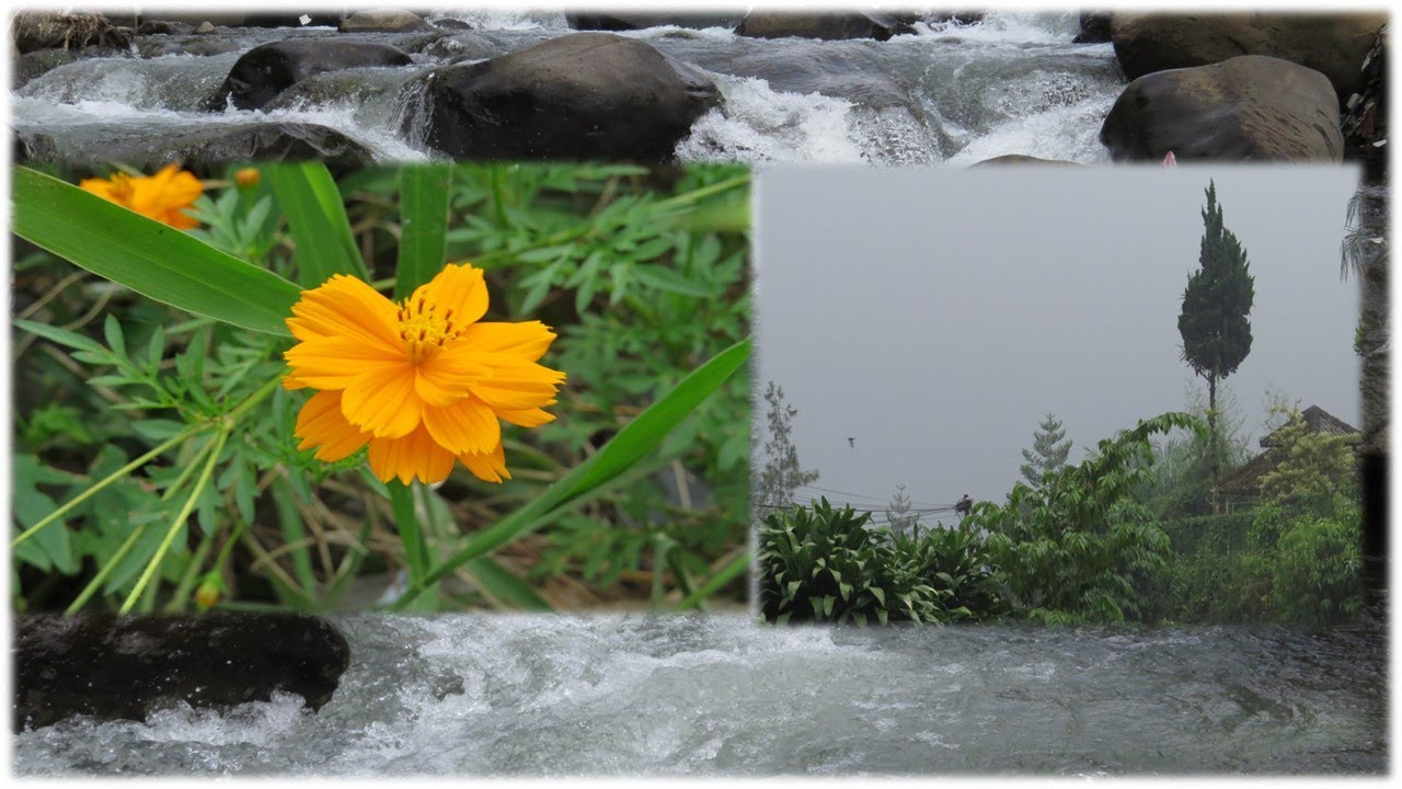 30 minutes relaxing music View - YouTube