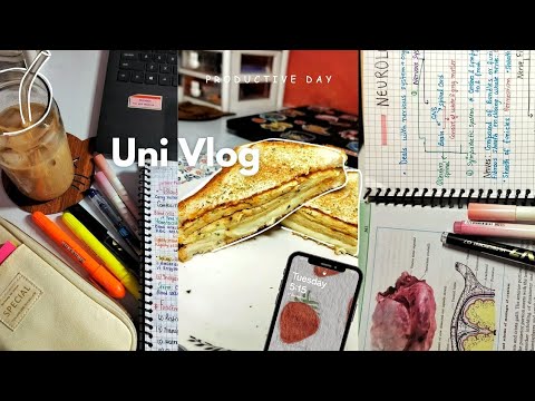Uni Vlog💌Waking up at 5am, First year, Study with me, Aesthetic Vlog Indian☁️ - YouTube