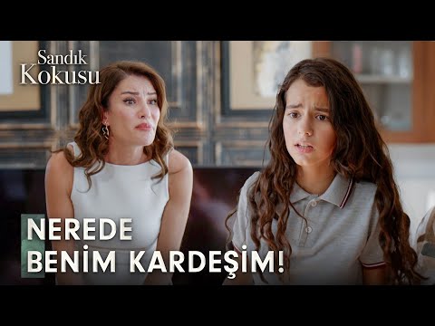 Tılsım ortalığı ayağa kaldırdı | Sandık Kokusu 31.Bölüm