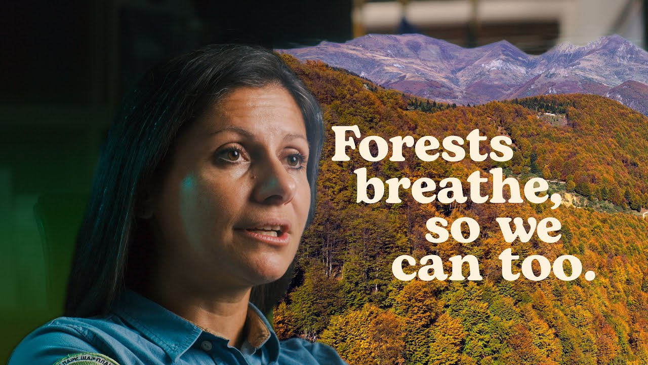 Sar Mountain park ranger talks about why forests are essential to ...