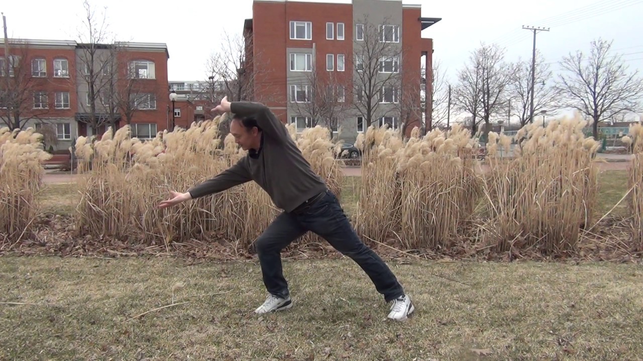 Crane of Shaolin 13 Claws form， free shaolin kungfu tutorials - 少林十三爪 之 ...
