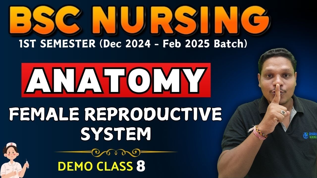 FEMALE REPRODUCTIVE SYSTEM | anatomy | bsc nursing 1st sem | anatomy ...