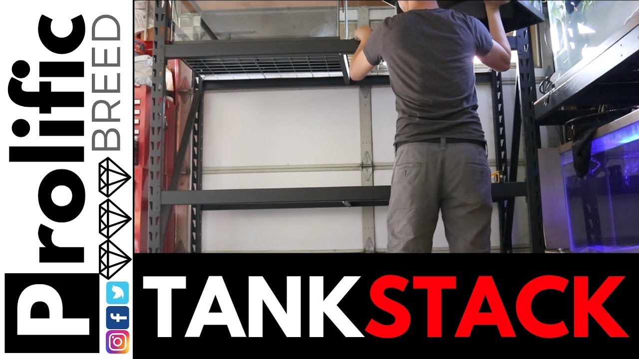 STACKING SIX 40 BREEDER FISH TANKS AQUARIUMS - YouTube