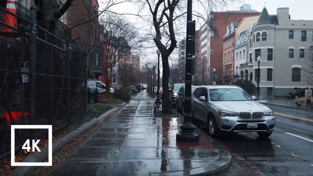 Light Rainfall Walk in Washington DC, Rain and Umbrella Ambience ...