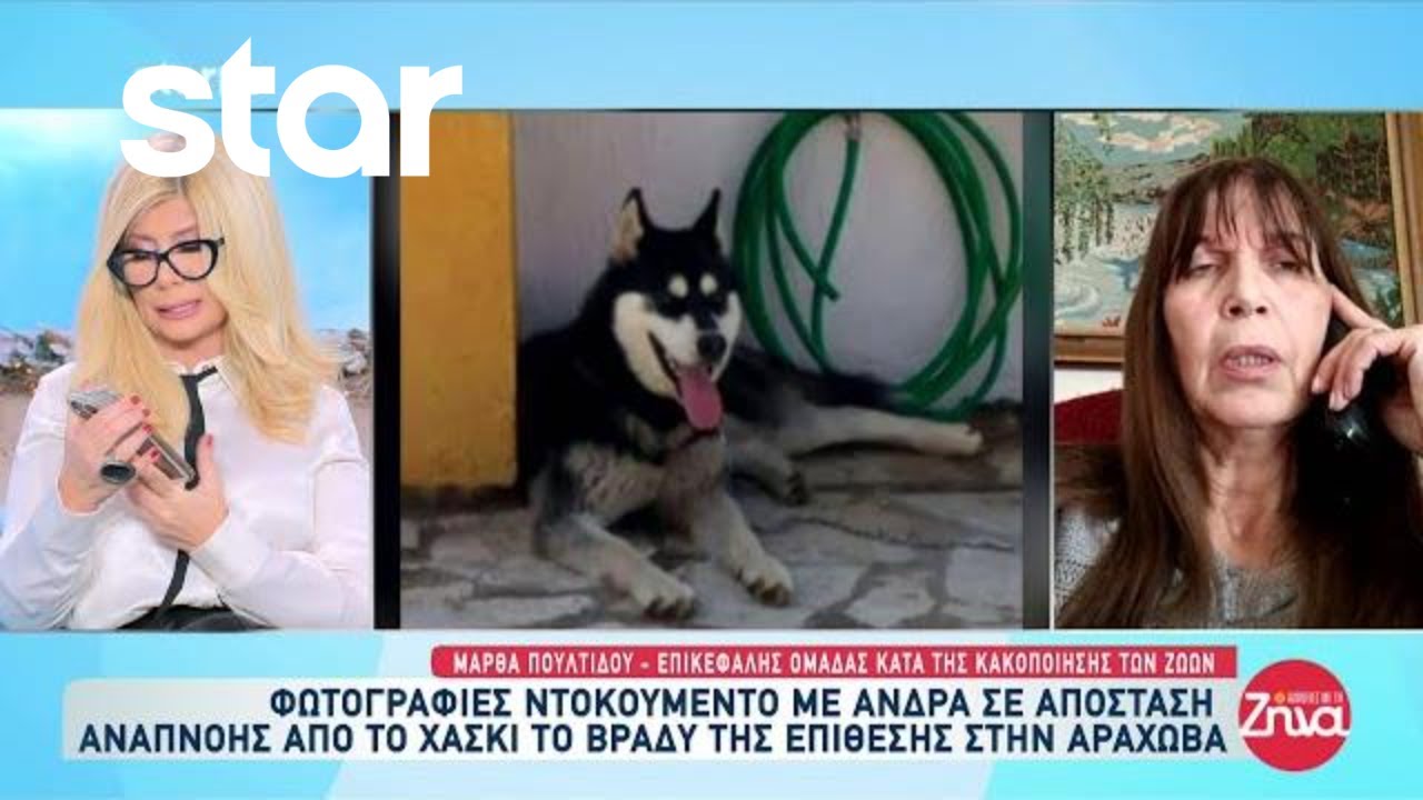 Αράχωβα: Φωτογραφίες ντοκουμέντο με άνδρα σε απόσταση αναπνοής από το ...