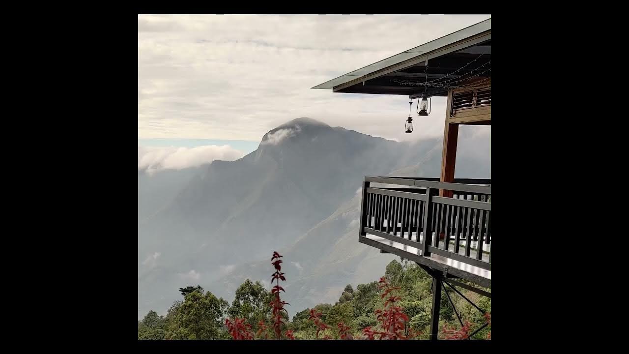 TimeGpt(Multivariate, Finetune, Anomaly detection, Energy forecasting ...