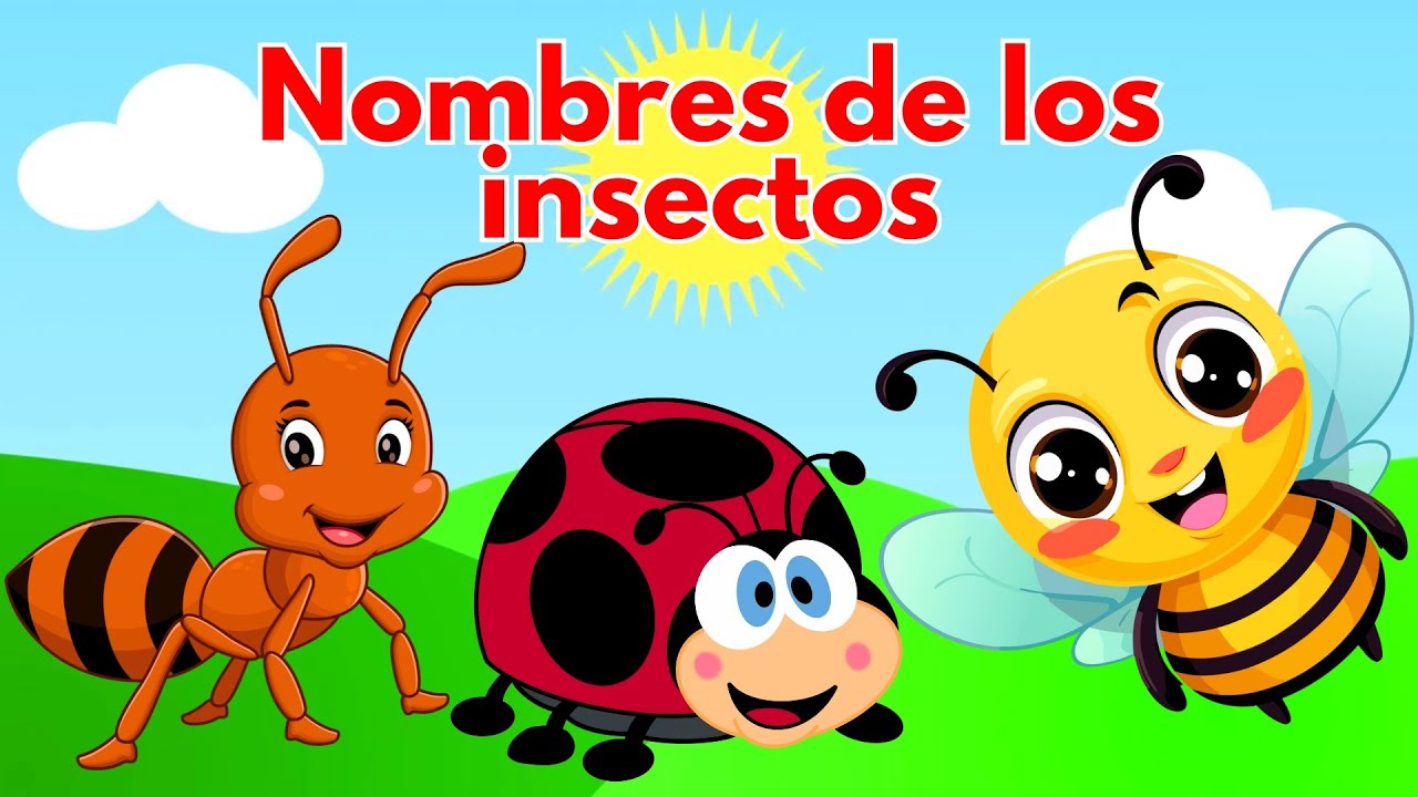 Insectos y animales en español: Aprende y juega 🦁 🦋 ! Live🔴 - YouTube