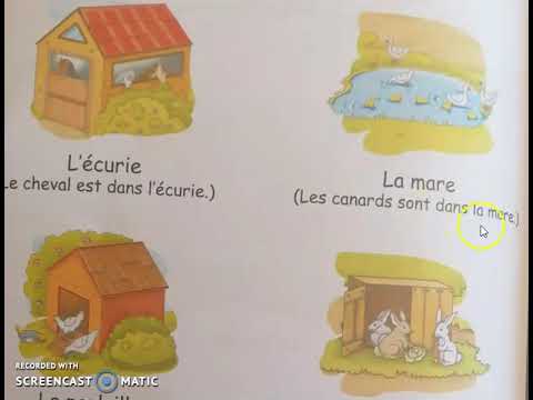 Lecture les animaux et leurs habitats - YouTube