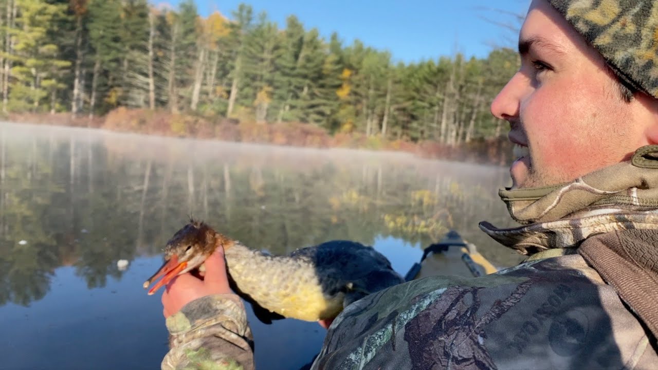 Our First Duck Hunt = Success! + Benelli M2 Breakdown - YouTube