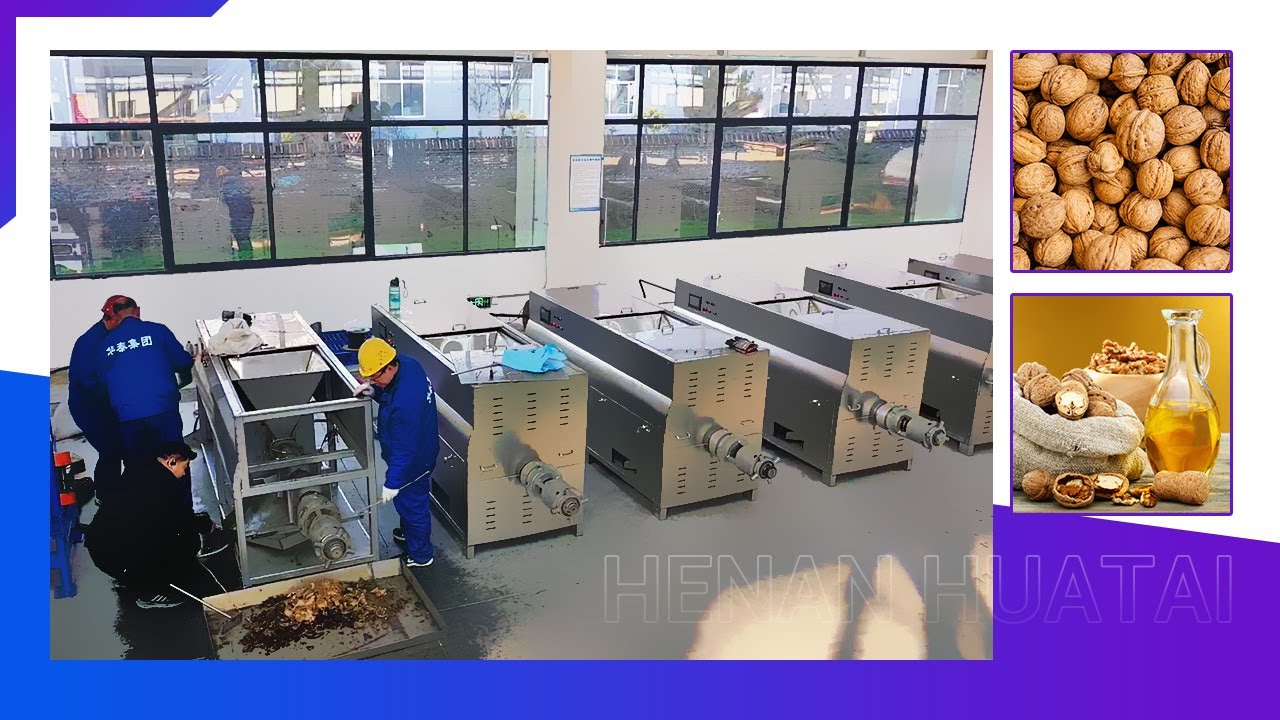 Walnut Oil Extraction Machine | Walnut Oil Production Line | Walnut Oil ...