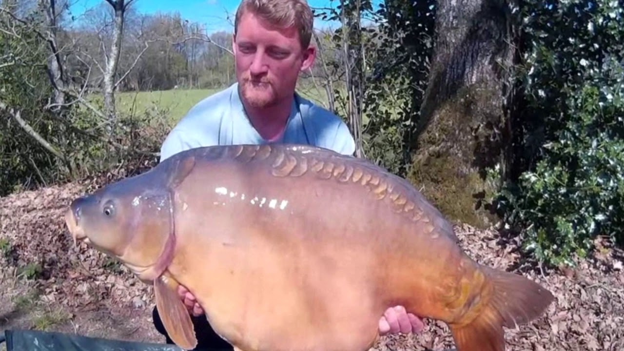Carp fishing in France @ lac Clement - YouTube