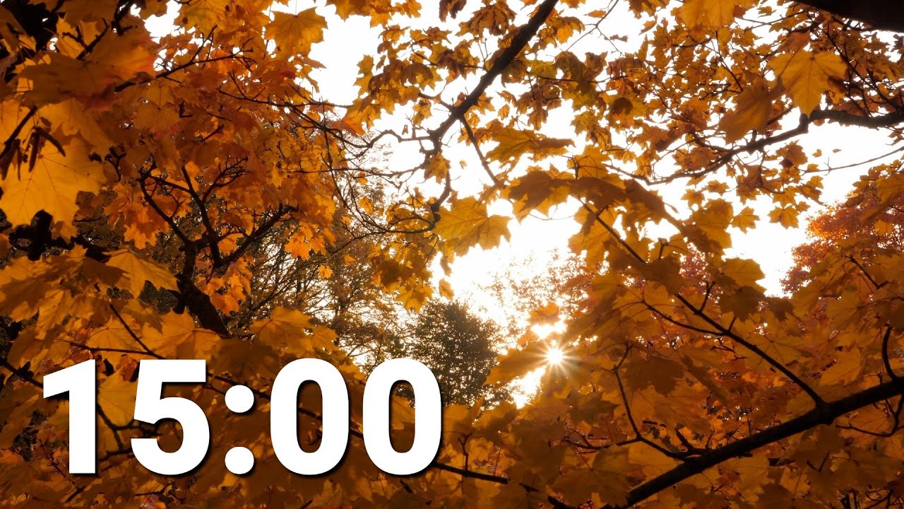 15 Minute Autumn Leaves Countdown Timer With Music and Alarm - YouTube