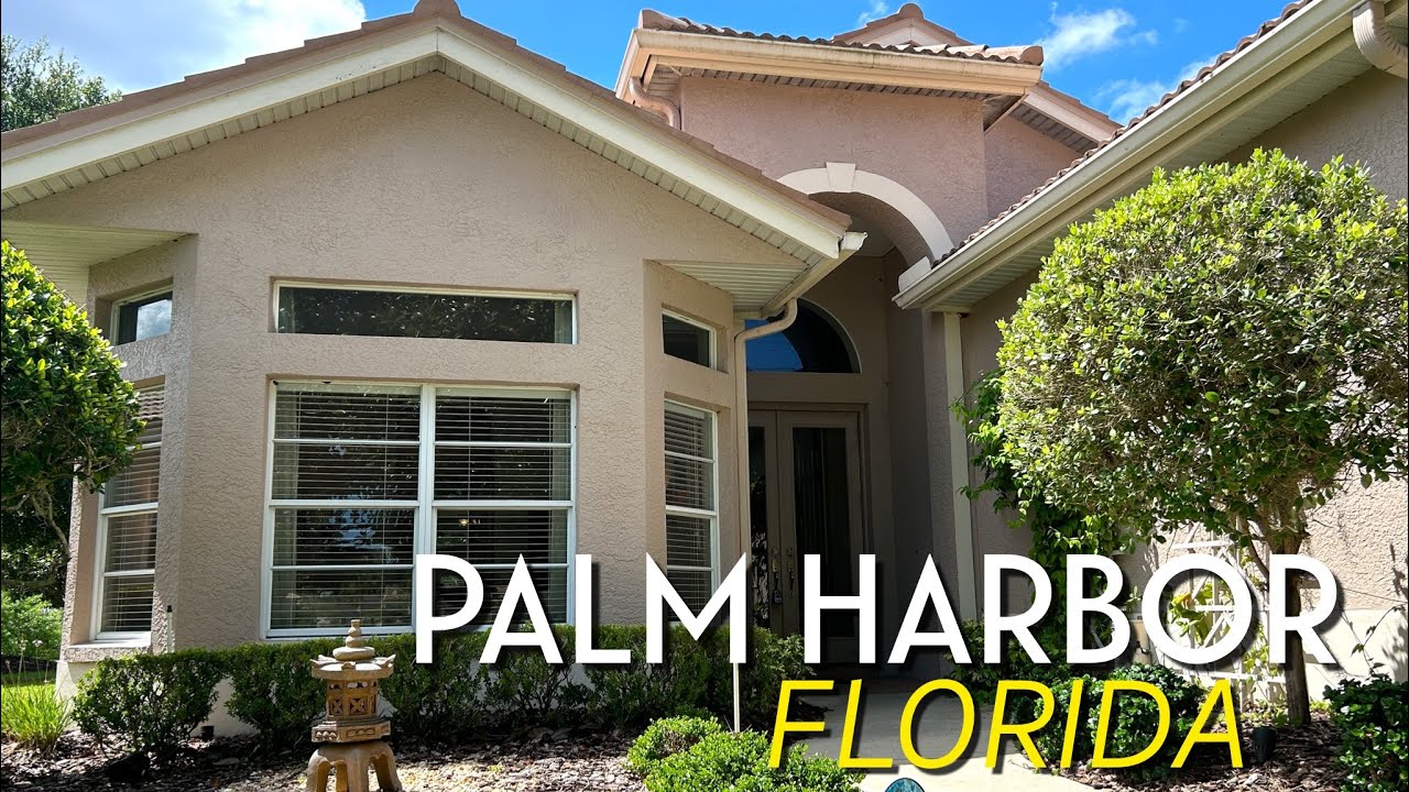Sneak Peek 👀 | Palm Harbor Home in Lovely Lansbrook - YouTube