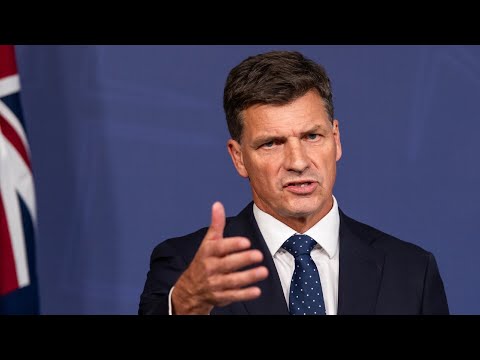 Angus Taylor needs to ‘get back to the basics’: Stephen Conroy