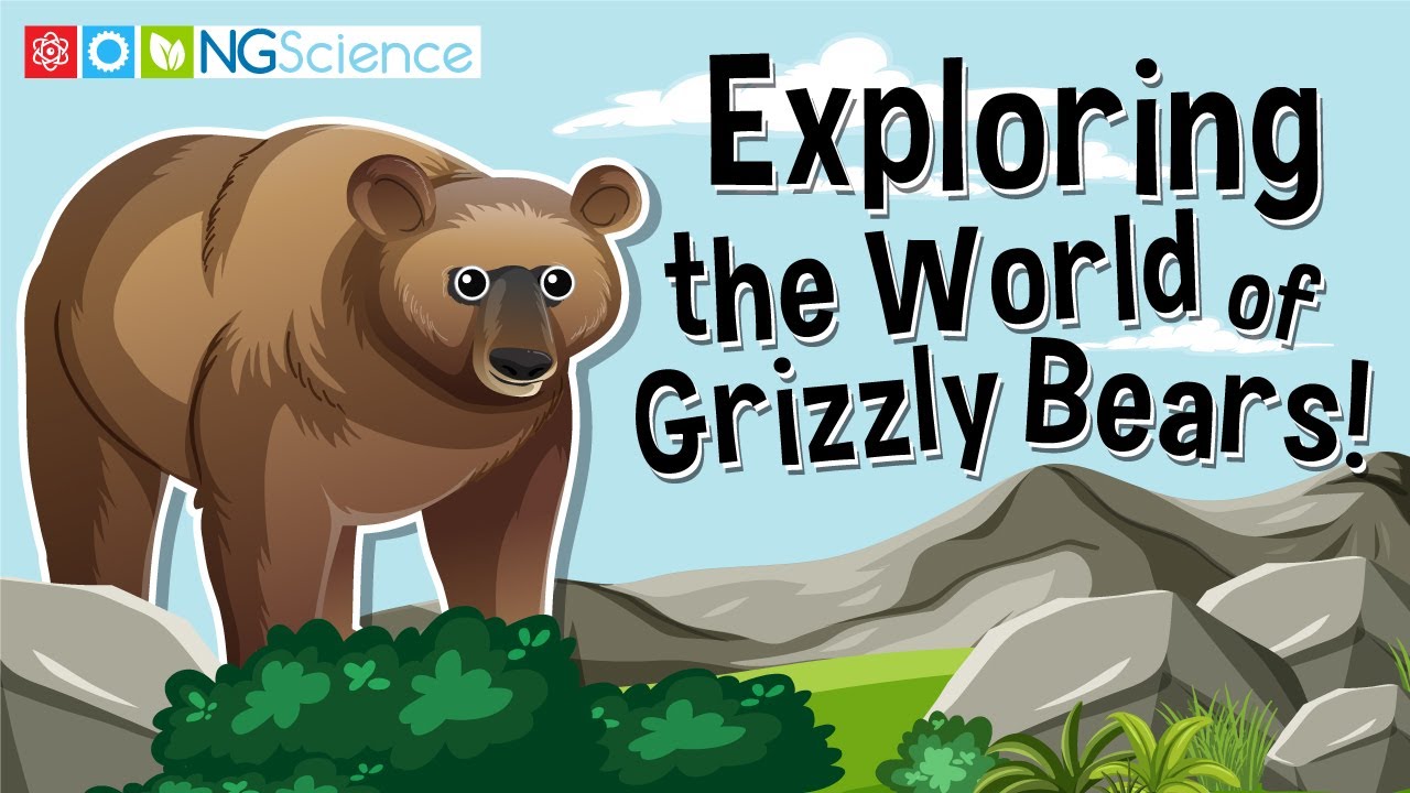 Get Ready to Roar: Exploring the World of Grizzly Bears! - YouTube