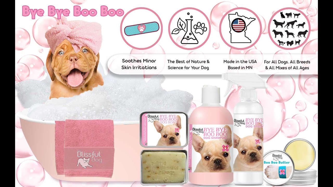 The Blissful Dog Bye Bye Boo Boo Skin Care Collection REV 2020 - YouTube