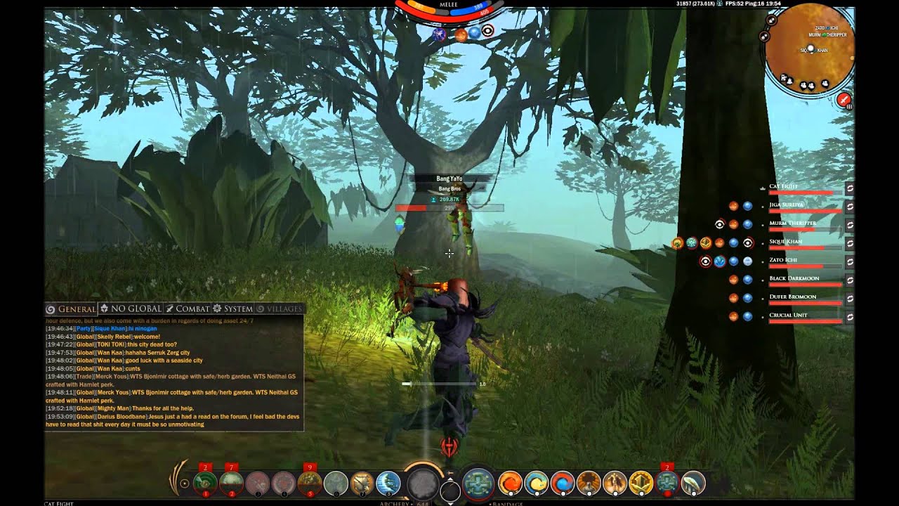 Cat Fight PvP 8 - YouTube