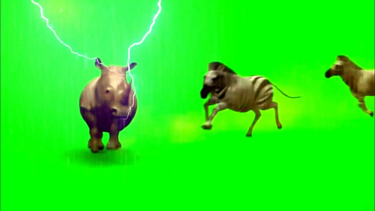 Animals running green screen video|green screen background video|bijli ...
