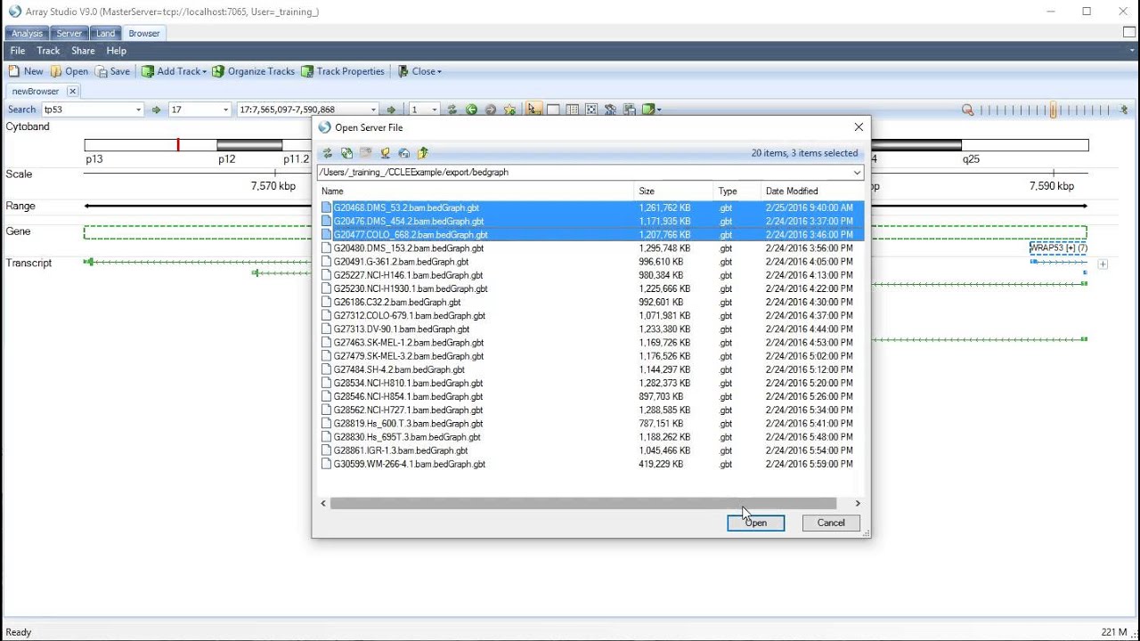 Genome Browser - Add NGS coverage tracks from Bedgraph files - YouTube