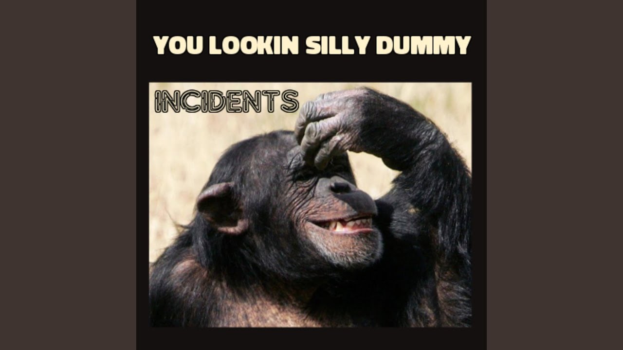 You Lookin Silly Dummy - YouTube