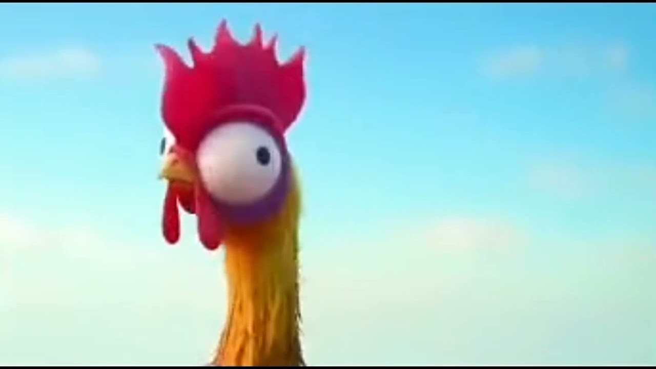 GALLINA GRITANDO - MEME - YouTube