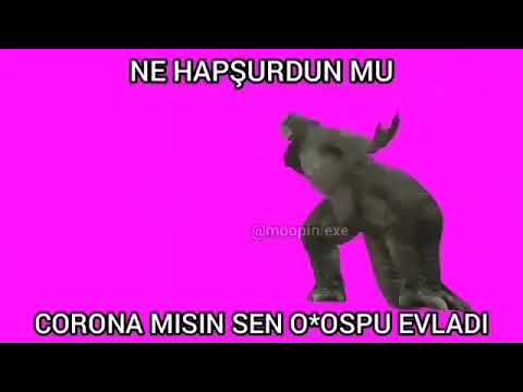 korona mısın lan sen oç