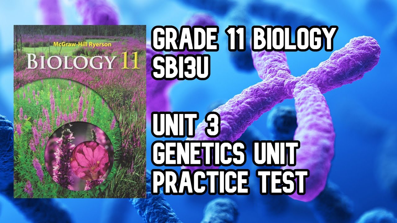 SBI3U - Unit 3 Genetics Unit Practice Test (Grade 11 Biology) - YouTube