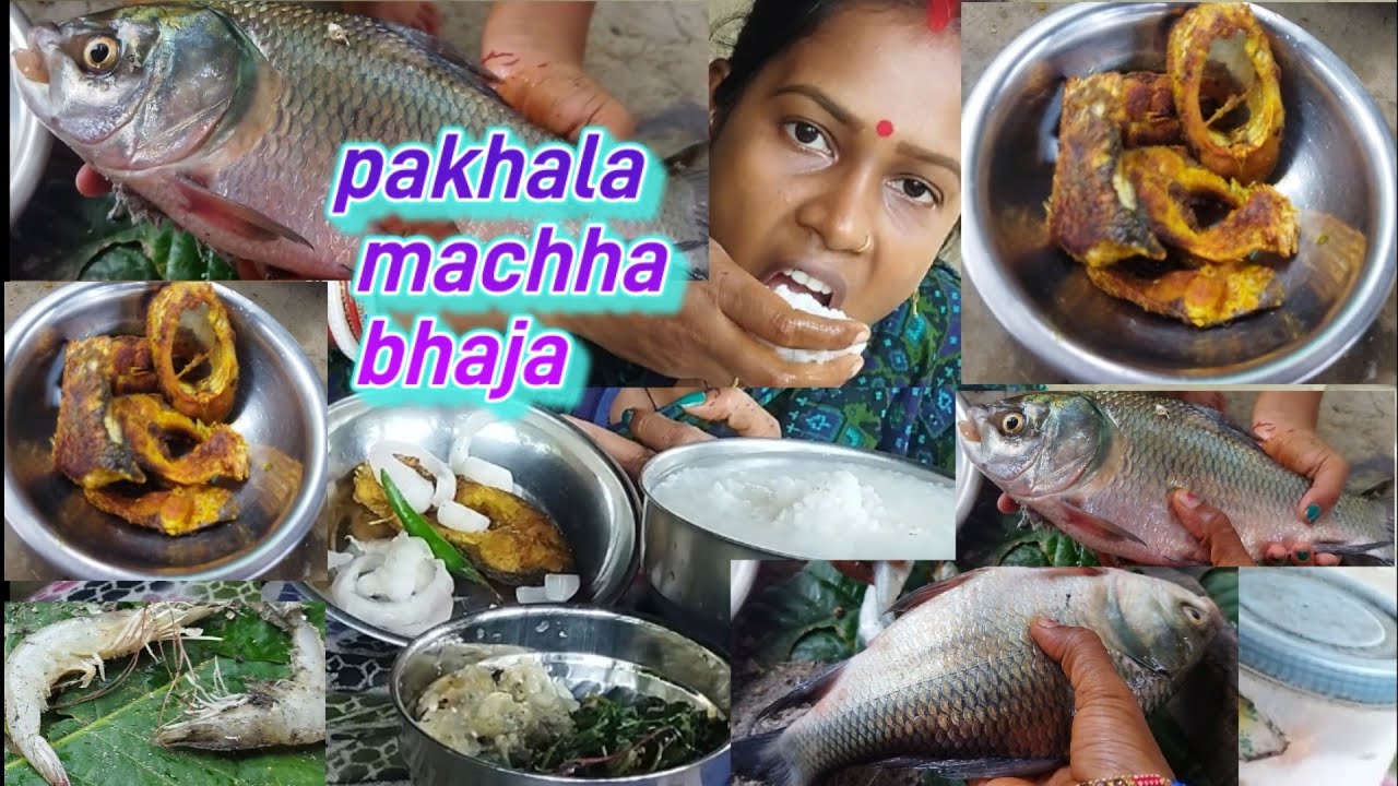 Pakhala machha eating || machha bhaja recipe // baigan chhecha // saga ...