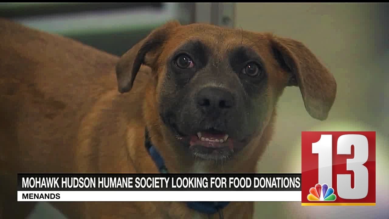 Mohawk Hudson Humane Society seeks dog food donations for pets at home ...