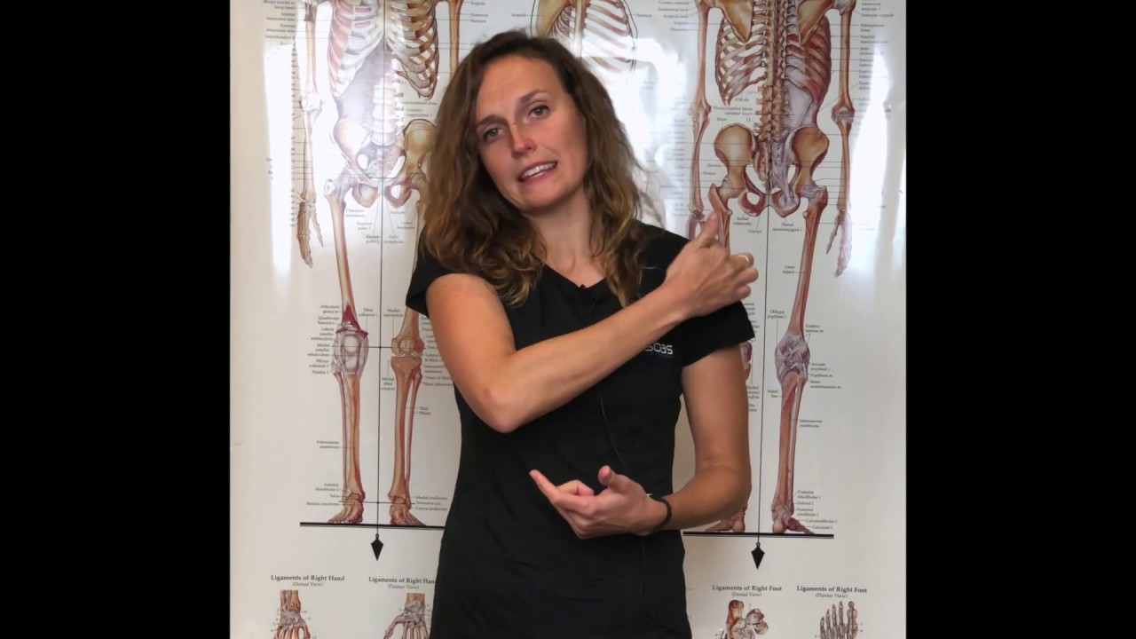 7-Point Posture Program: Stretch 2 & 3 -- Stretches for the Trapezius ...