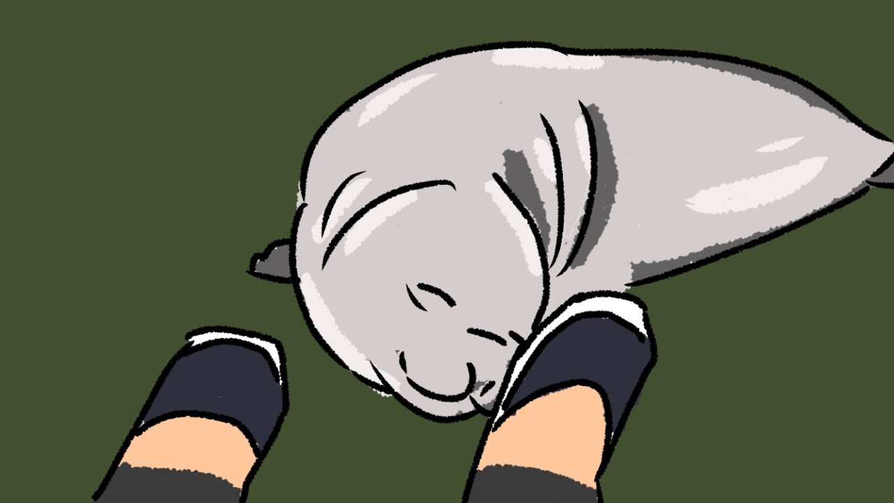 Seal animation - YouTube