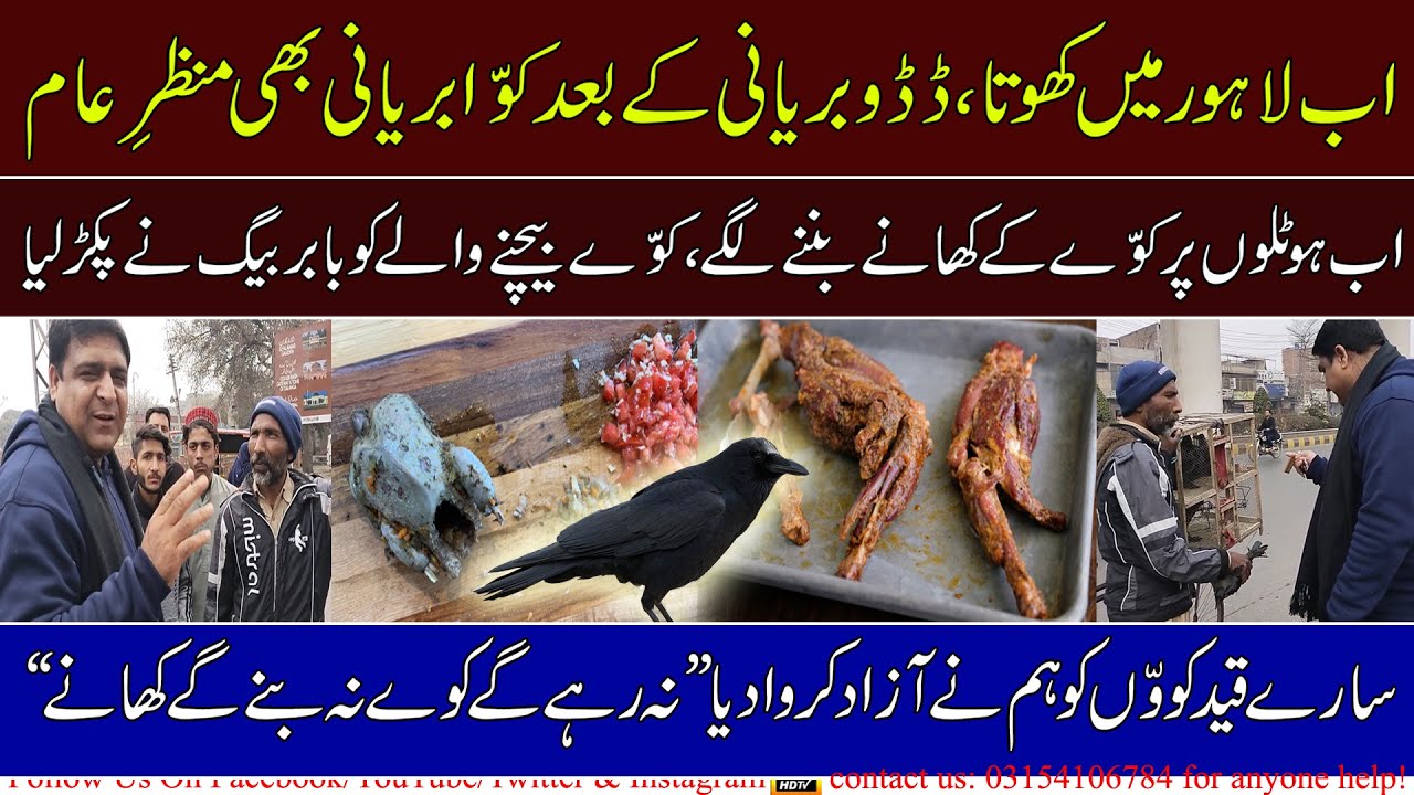 Lahori People Are Now Eating Crow Biryani || We Grabbed The Crow ...