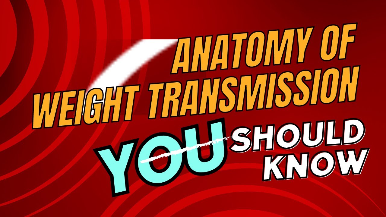 Weight Transmission Anatomy II Bangla II Explain with 48 kg II Anatomy ...