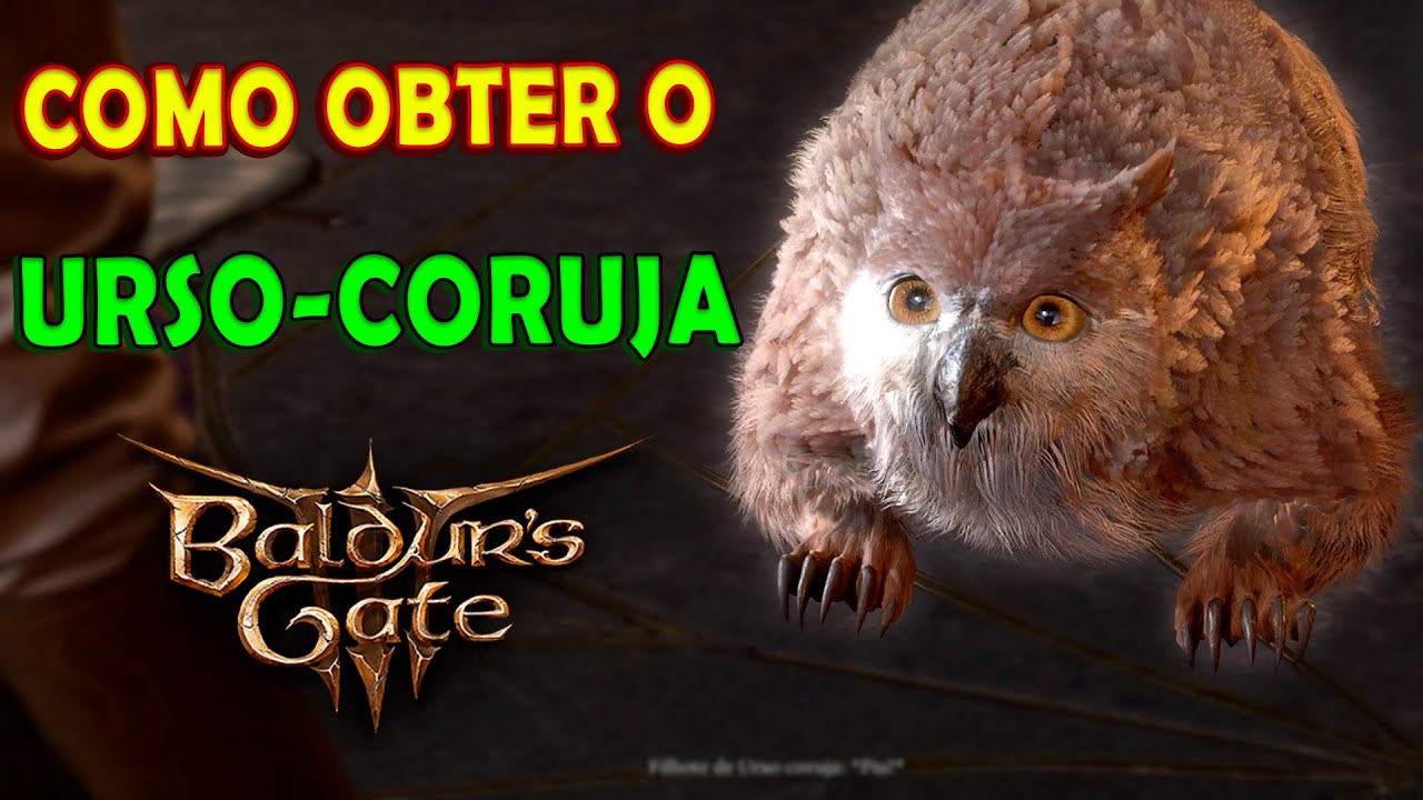 Baldur's Gate 3: Urso coruja no Acampamento - YouTube