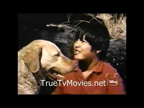 E16 Pancho the Fastest Paw in the West - YouTube