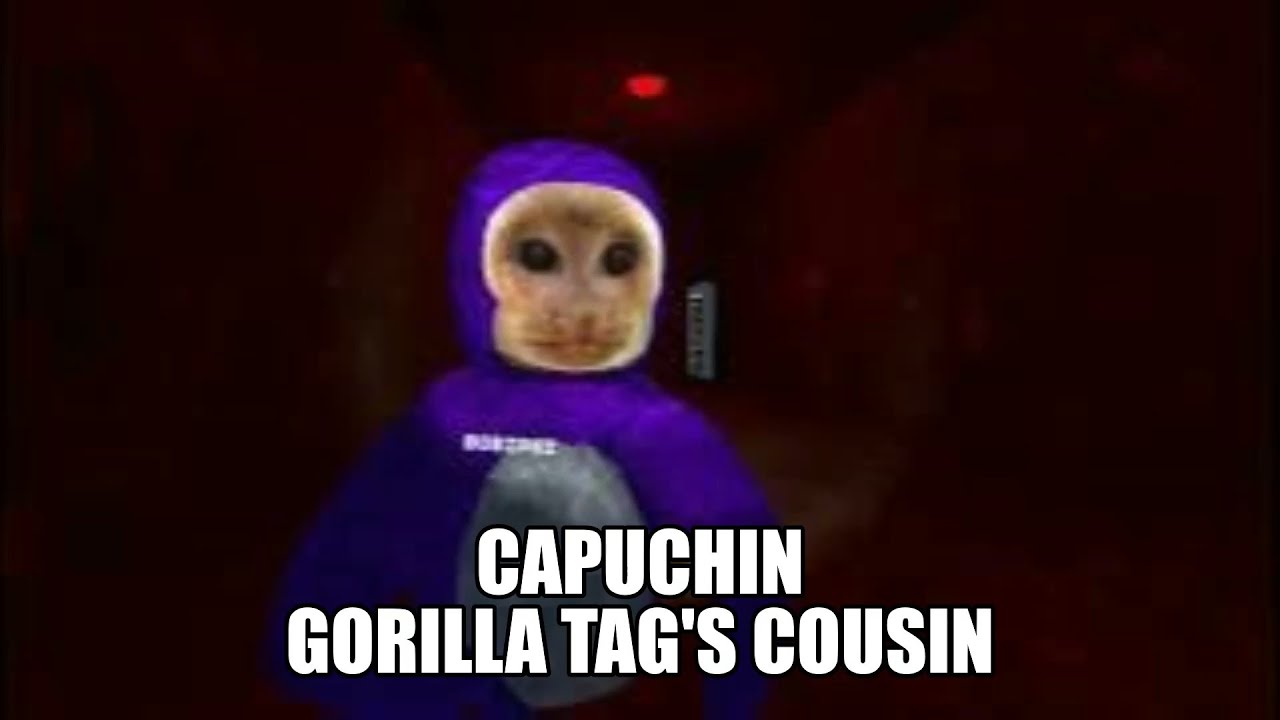 Capuchin | Gorilla Tag's Cousin | #vrgaming, #gameplay, #capuchin - YouTube