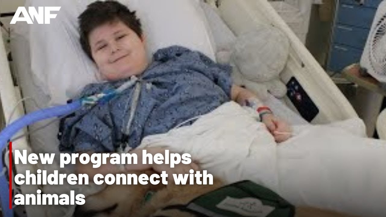 New program helps children connect with animals - YouTube
